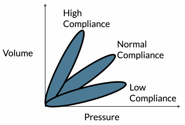 Static versus Dynamic Compliance - WikiAnesthesia Static versus Dynamic Compliance - WikiAnesthesia