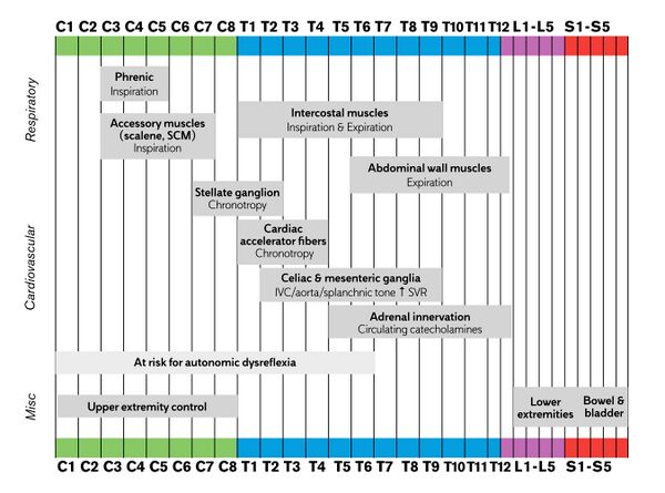Autonomic dysreflexia - WikiAnesthesia